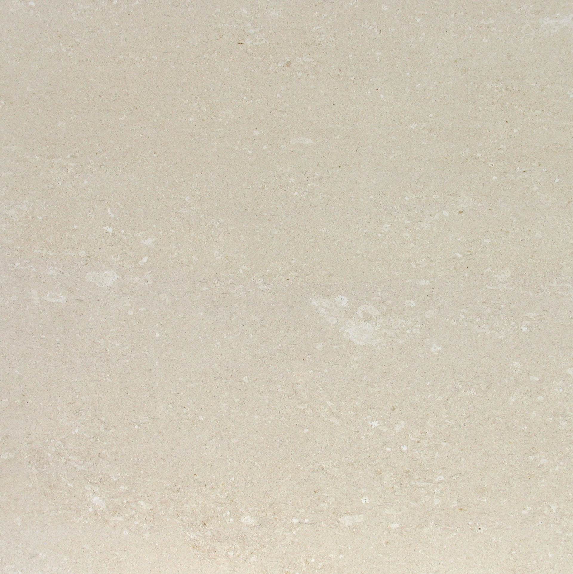 Bianco Avorio - ABC Stone : ABC Stone