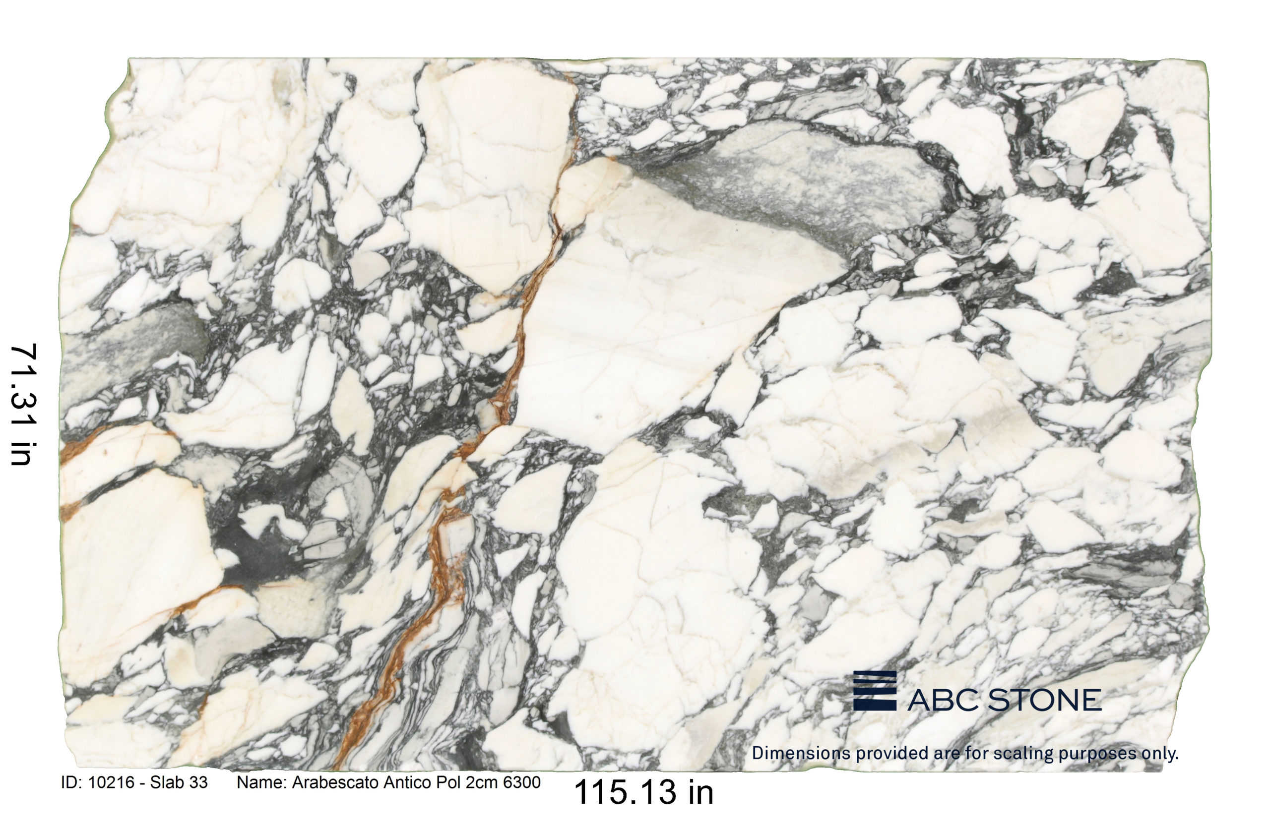 Arabescato Antico - ABC Stone : ABC Stone